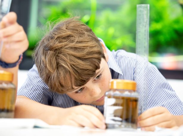 Junior School - Brighton Grammar: Leading Private School | Boys’ School ...