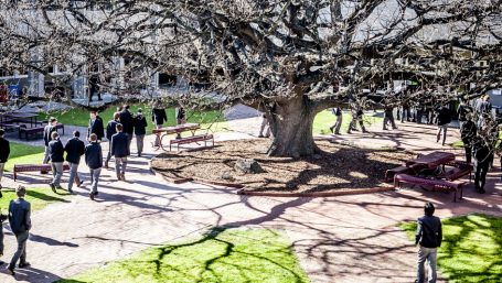 Brighton Grammar School Contact information