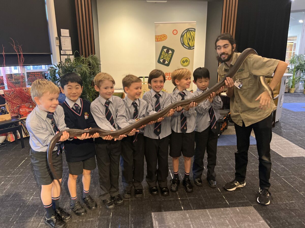 Close up encounter - Brighton Grammar: Leading Private School | Boys ... Close up encounter - Brighton Grammar: Leading Private School | Boys ...