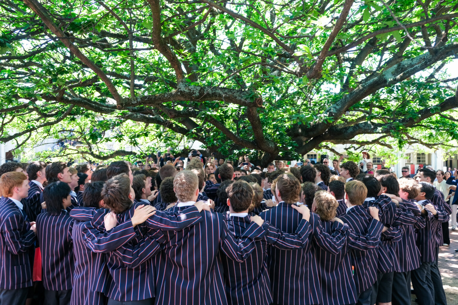Junior School enews | Thu 24 October 2024 | Brighton Grammar